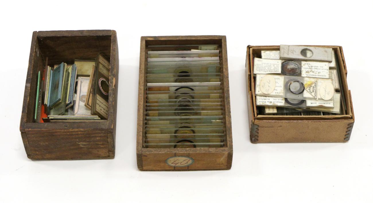 Lot 5165 - Prepared Microscope Slides including