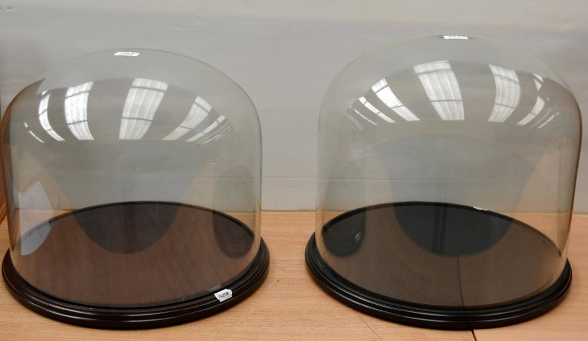 Lot 253 - A Large Glass Display Dome, early 20th