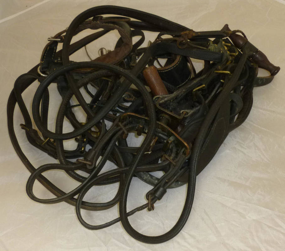 Lot 43 - Four Stitched Leather Hare Coursing Leashes,