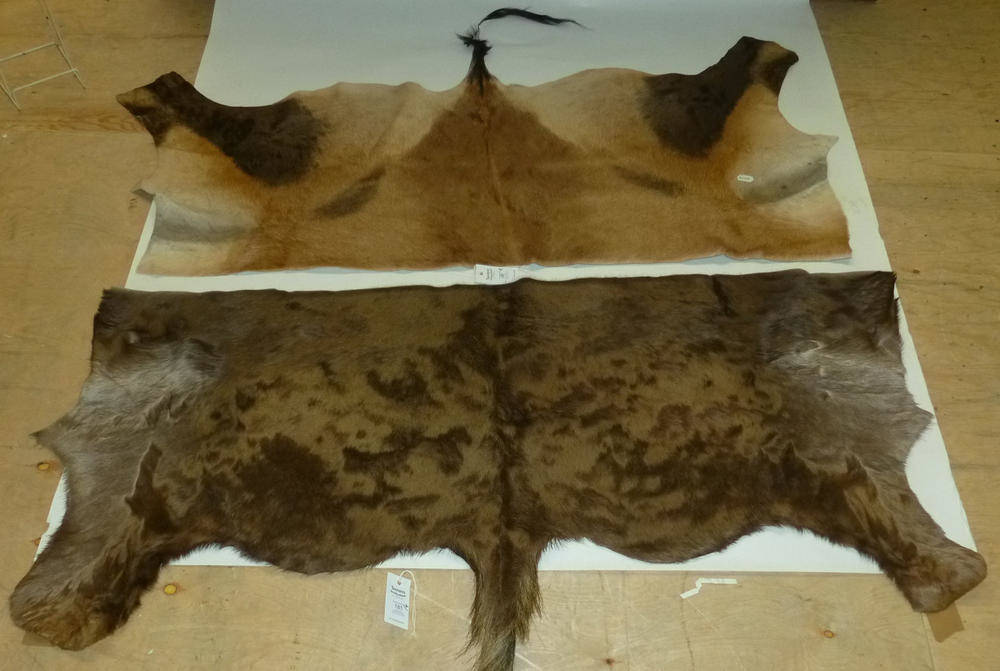 Lot 181 - Seven Assorted African Animal Skin Rugs,