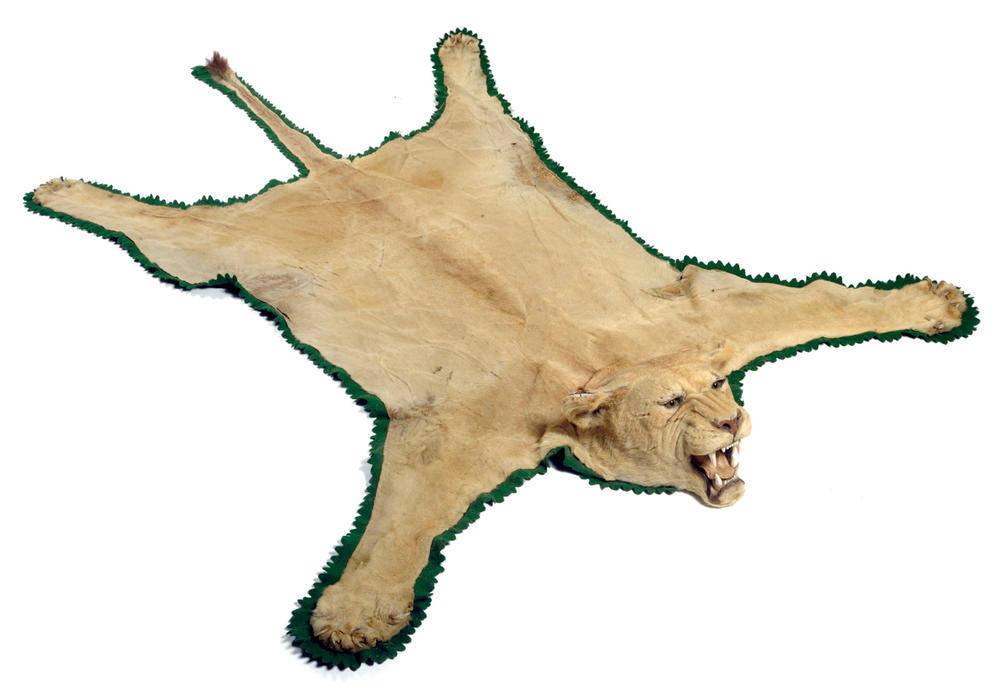 Lot 192 - Lion (Panthera Leo), circa 1970, Rowland