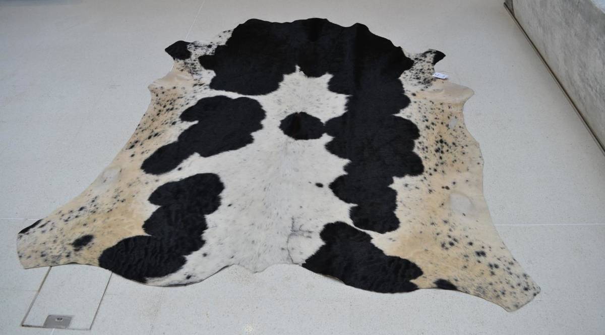 Lot 1170 - Nguni Cow Hide (Bos taurus), modern,