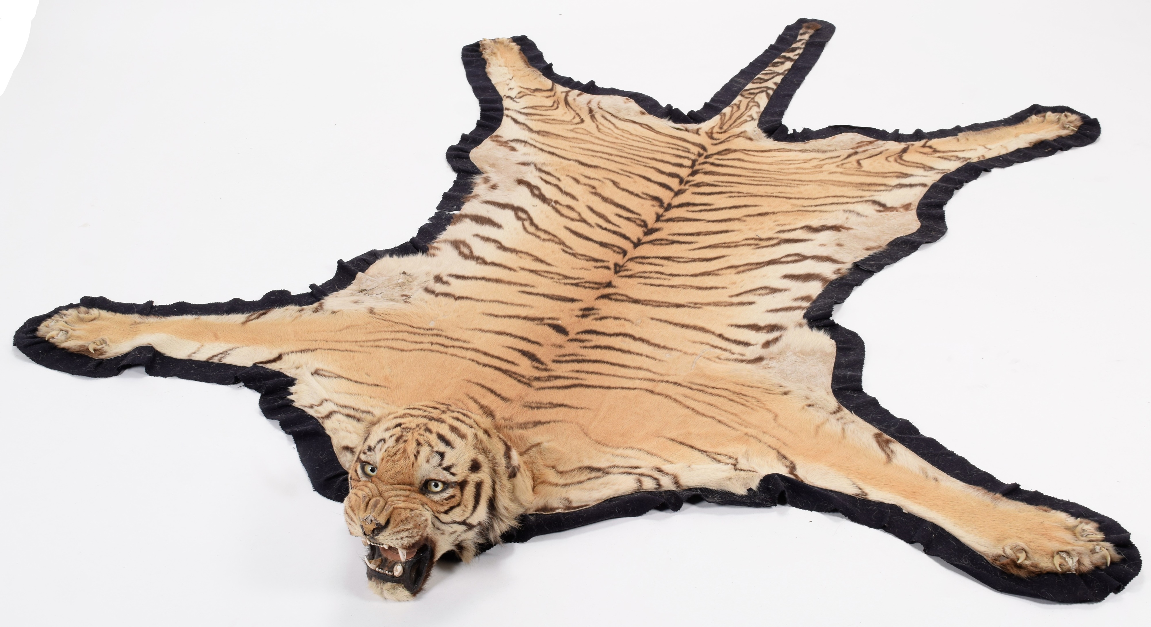 Lot 133 - Taxidermy: Bengal Tiger Skin Rug (Panthera