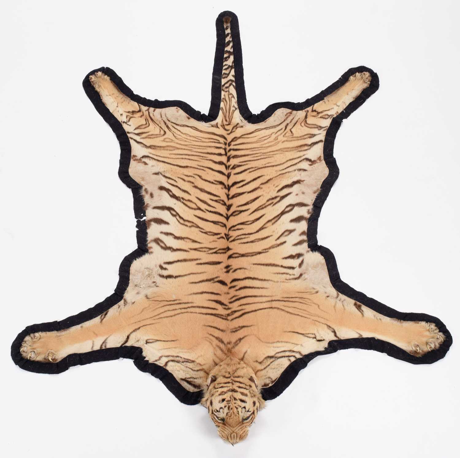 Lot 133 - Taxidermy: Bengal Tiger Skin Rug (Panthera