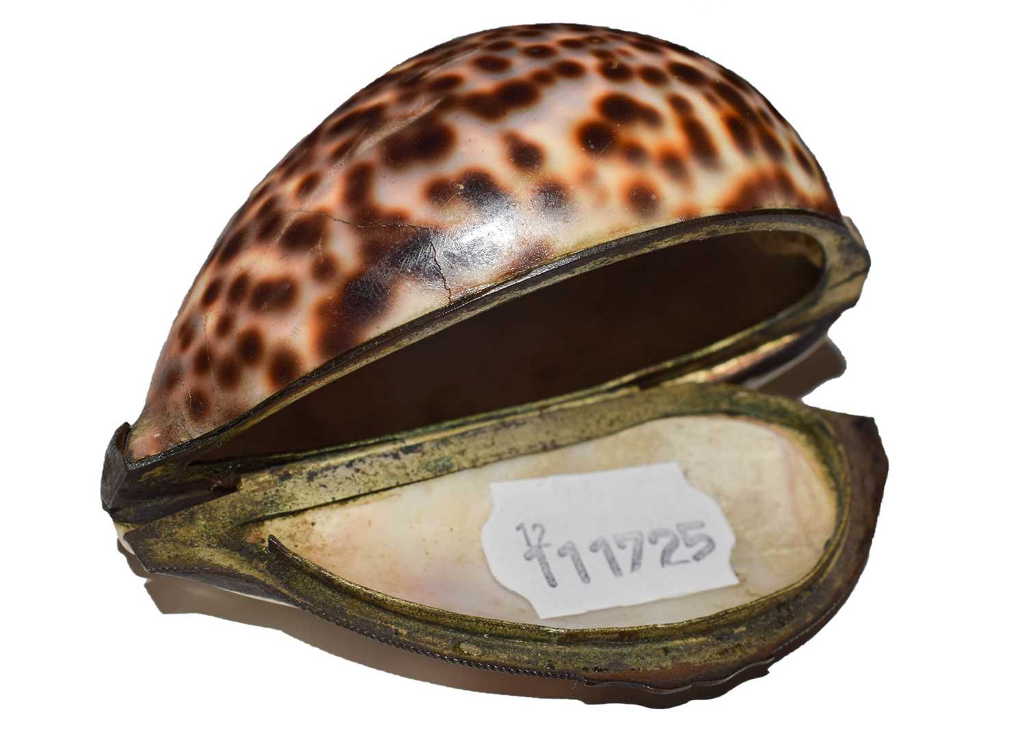 Lot 113 - A Metal-Mounted Cowrie Shell Snuff-Box the