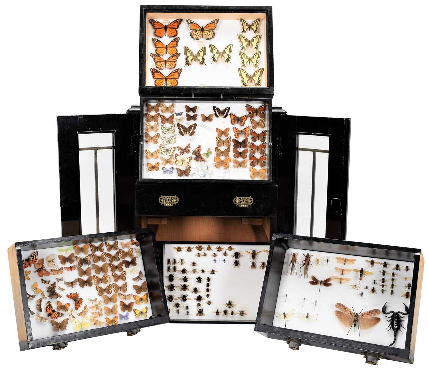 Lot 197 - Entomology: A Collection of British,