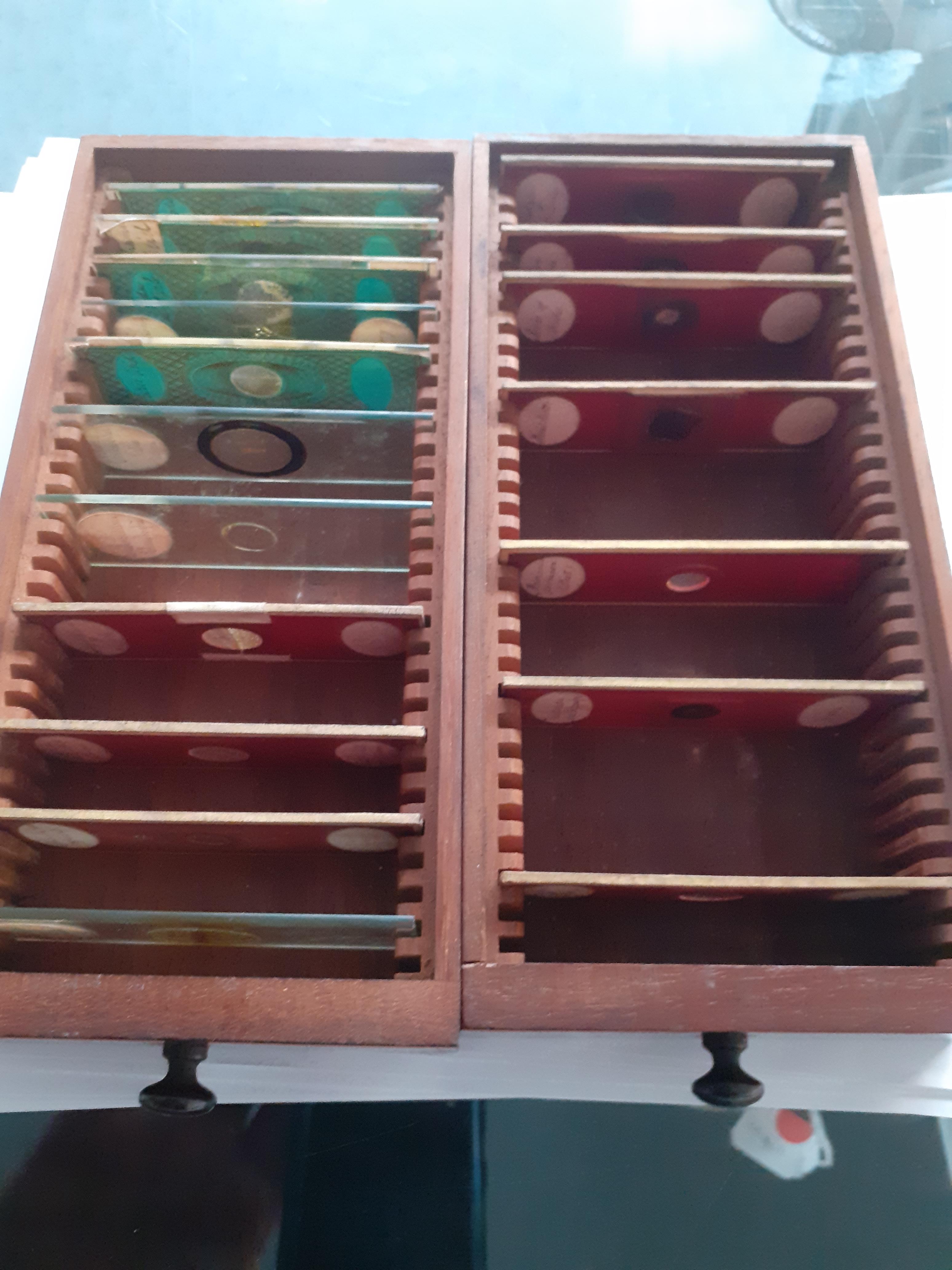 Lot 113 - Dancer Binocular Microscope