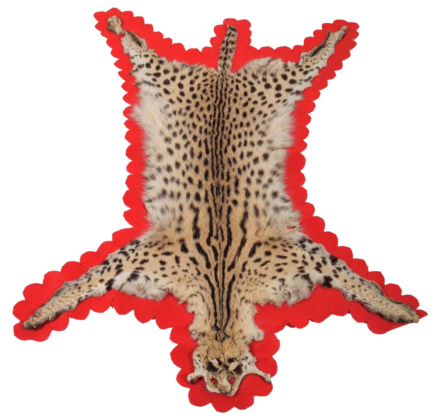 Lot 132 - Taxidermy: Serval Skin Rug (Leptailurus