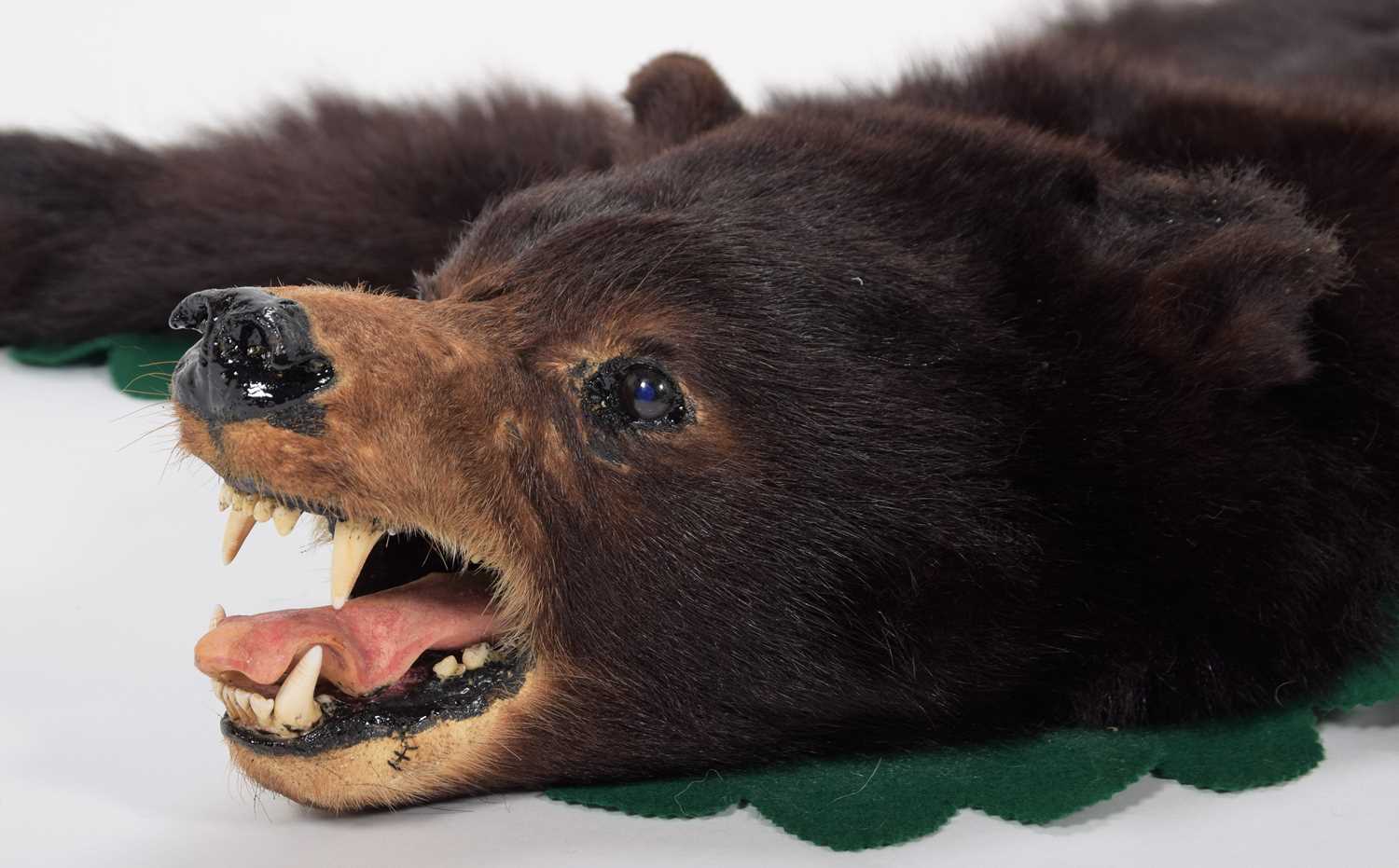 Lot 99 - Taxidermy: North American Black Bear Skin Rug
