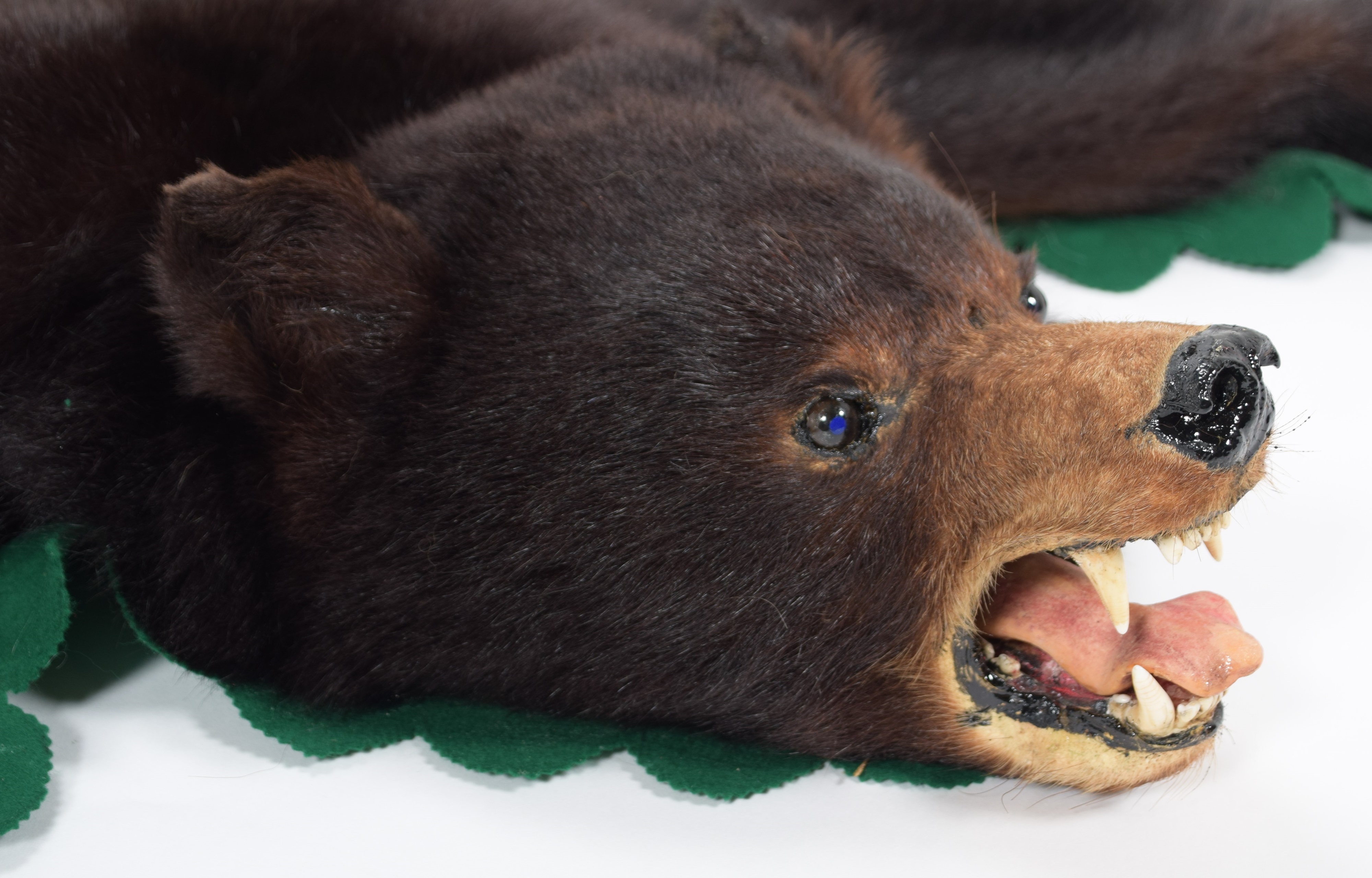 Lot 99 - Taxidermy: North American Black Bear Skin Rug