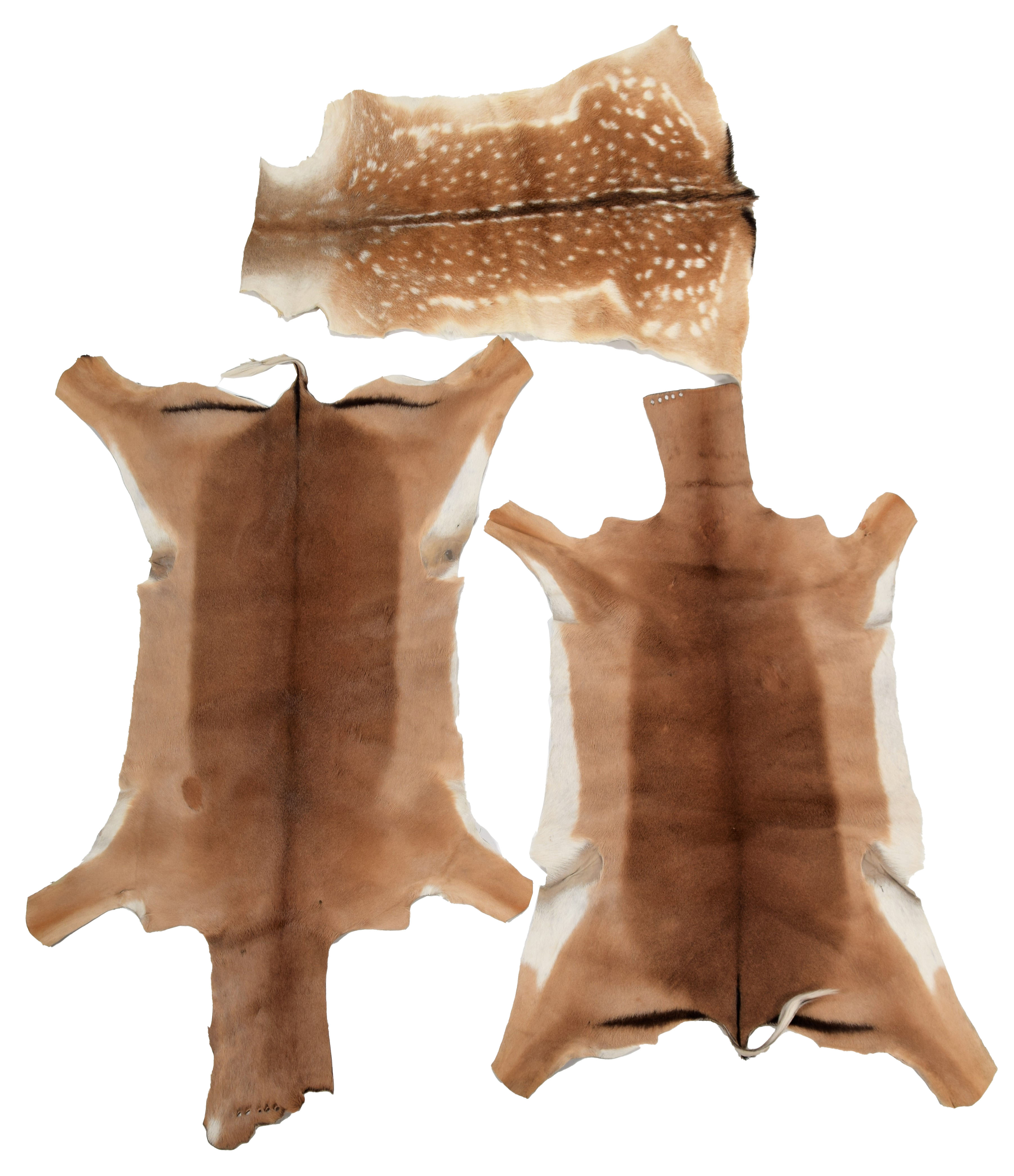 Lot 91 - Skins/Hides: A Collection of African