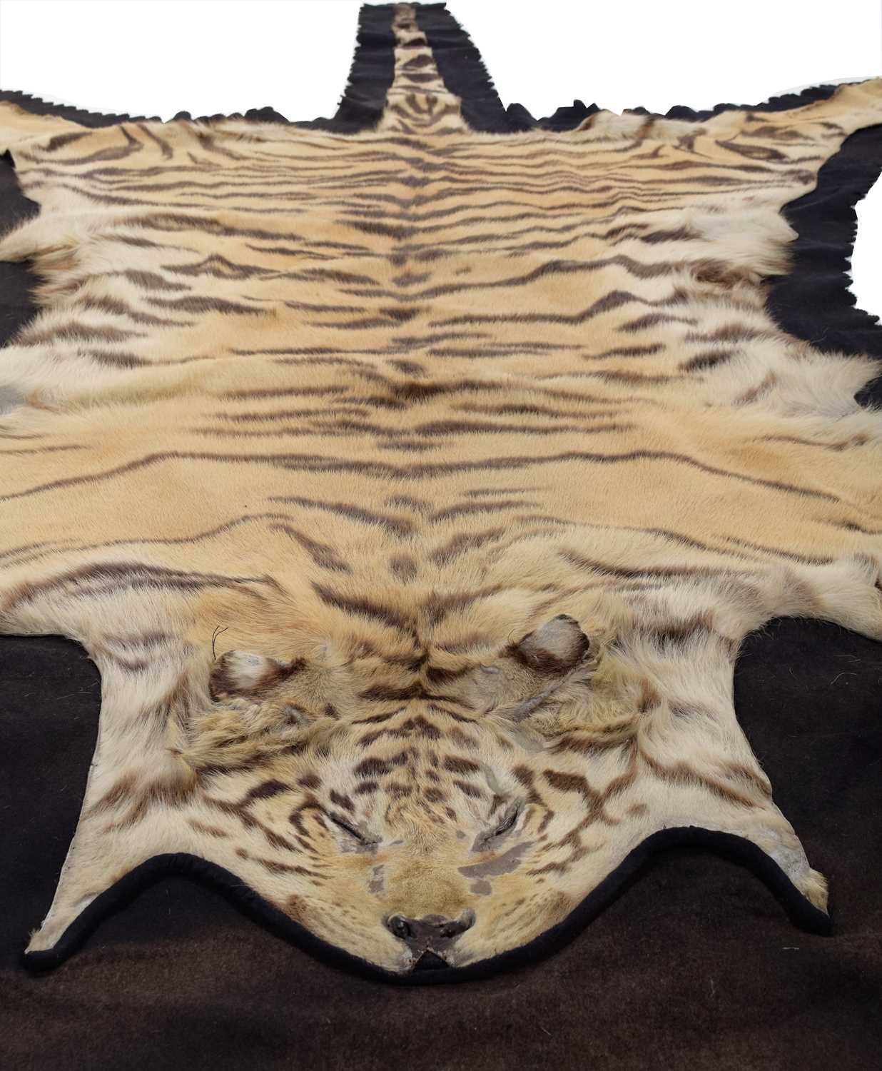 Lot 163 - Taxidermy: Bengal Tiger Skin Rug (Panthera