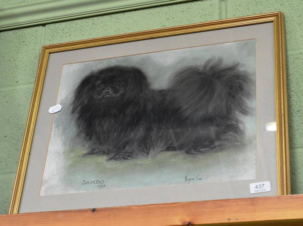 Lot 437 - Marjorie Cox, Portrait of a Pekinese 'Sambo";