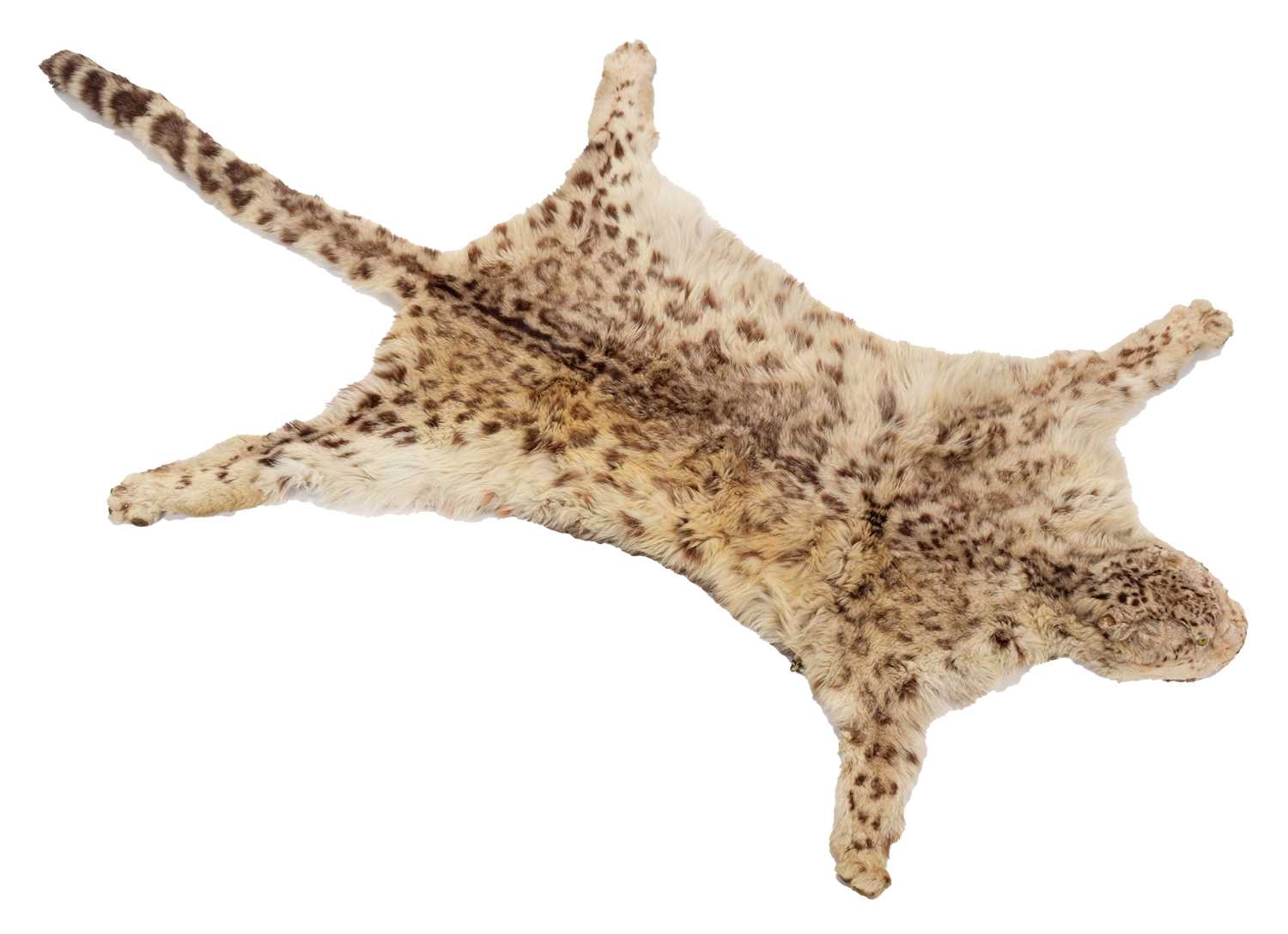 Lot 339 - Taxidermy: Snow Leopard Skin Rug (Panthera