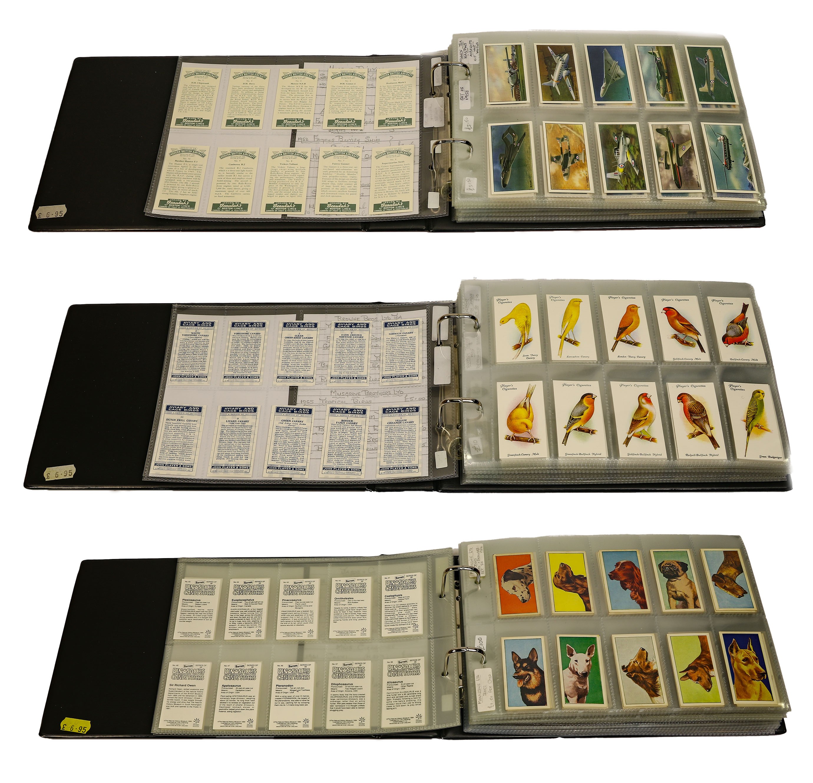 Lot 52 - Trade Cards