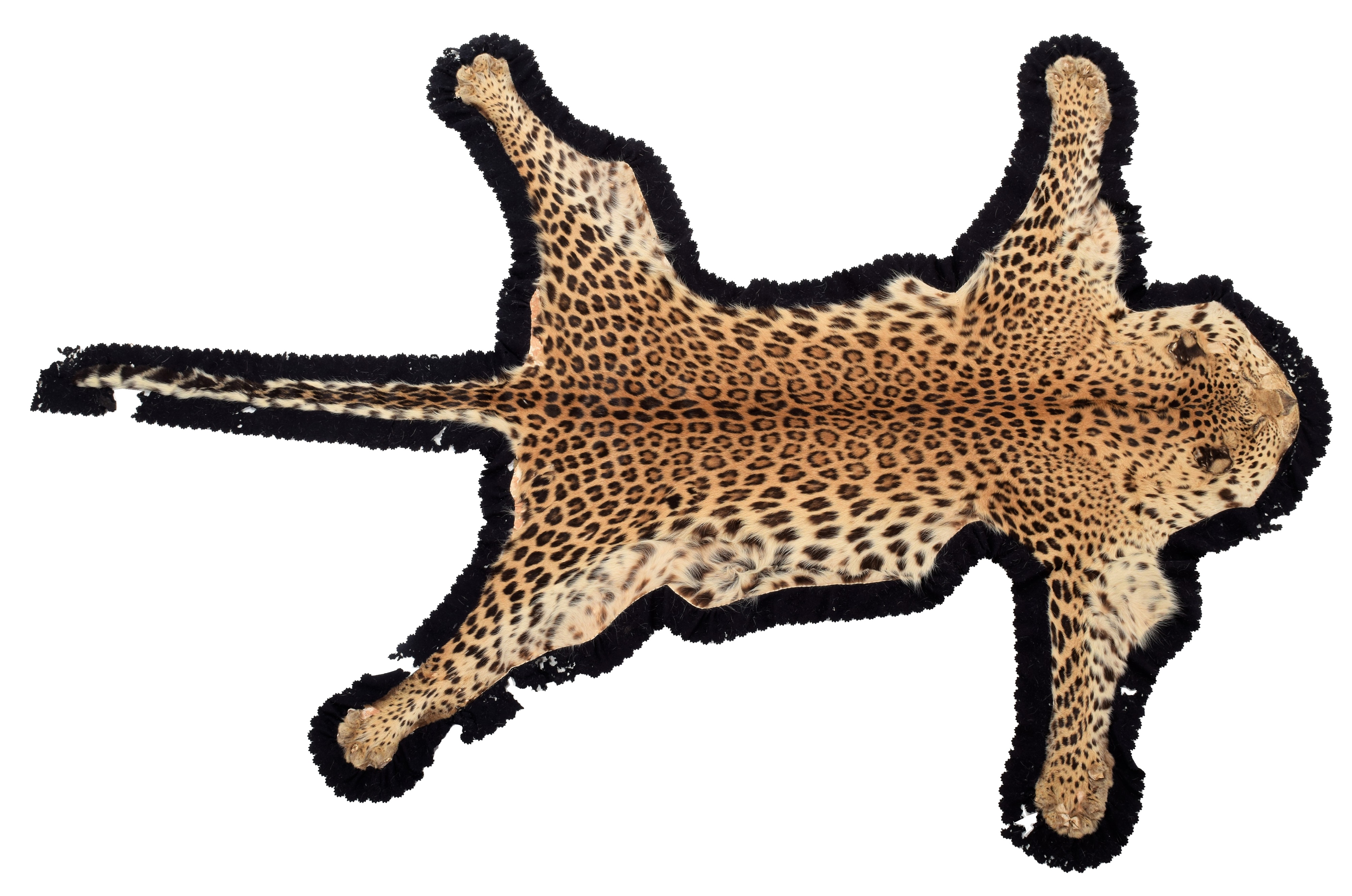 Lot 328 - Skins/Hides: Indian Leopard Skin (Panthera