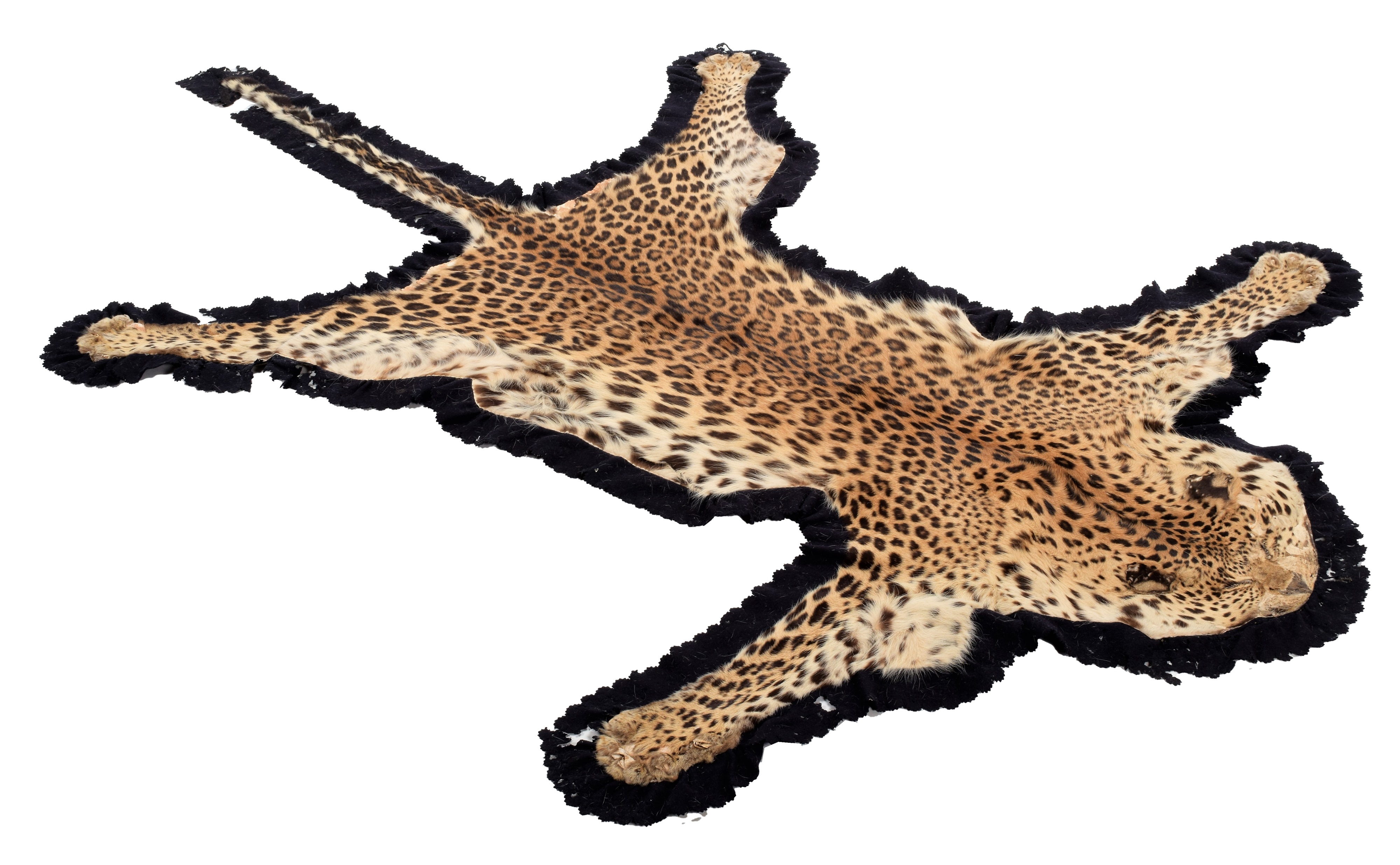 Lot 328 - Skins/Hides: Indian Leopard Skin (Panthera