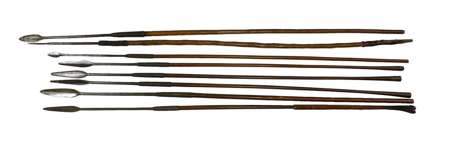 Lot 2335 - Nine Various South African Assegai Spears,