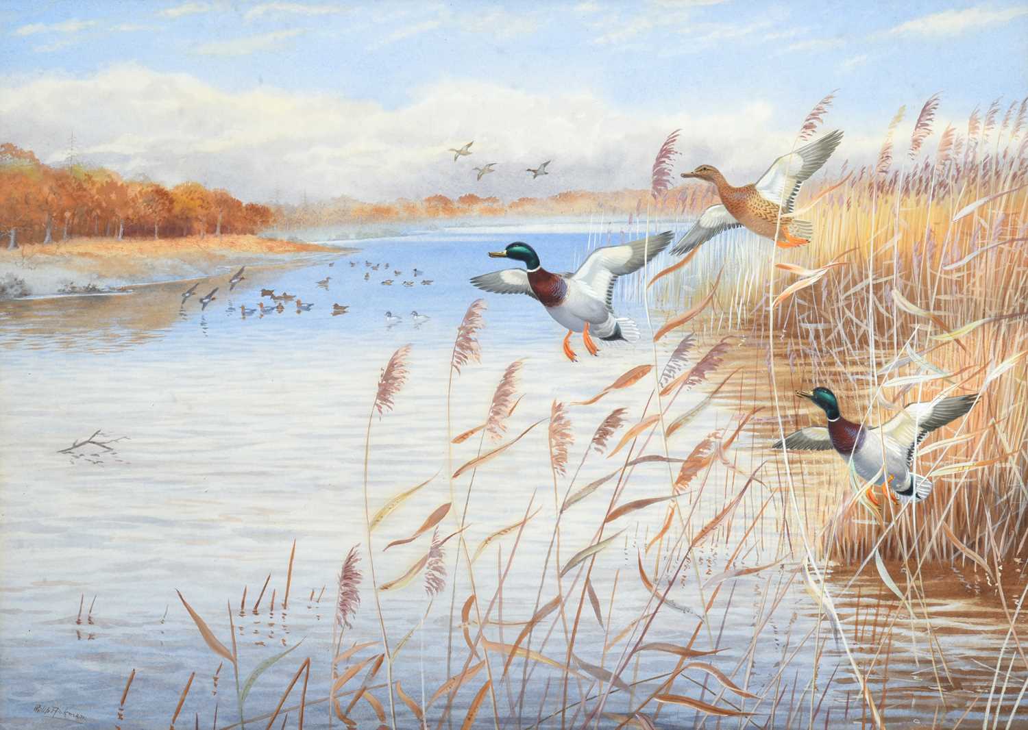 Lot 618 - Philip Rickman (1891-1982) Mallards on a