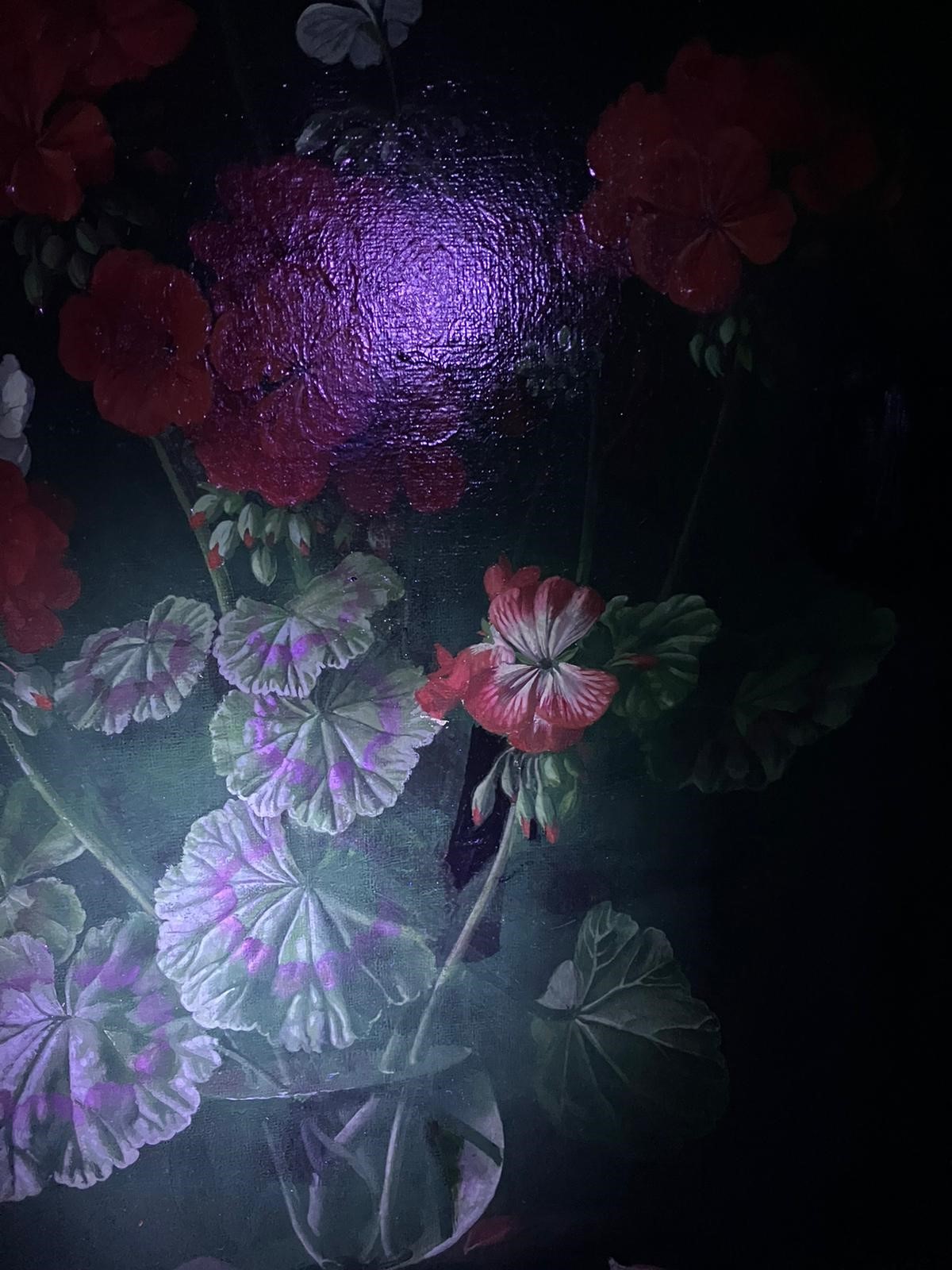 Lot 1125 - Gerald A Cooper (1898-1975) Geraniums