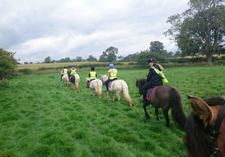 Lot 23 - 90-Minute Pony Trek around the Swinton Estate