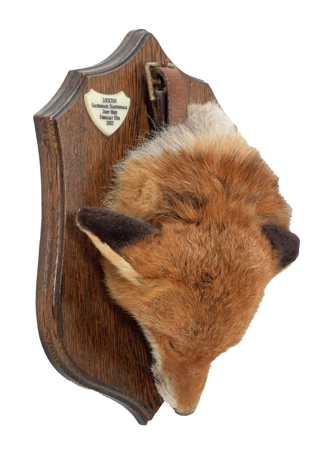 Lot 235 - Taxidermy: A Red Fox Death Mask (Vulpes