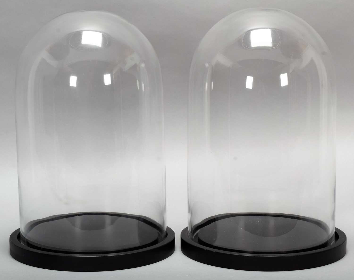 Lot 289 - Glass Domes: A Pair of Circular Glass Domes,