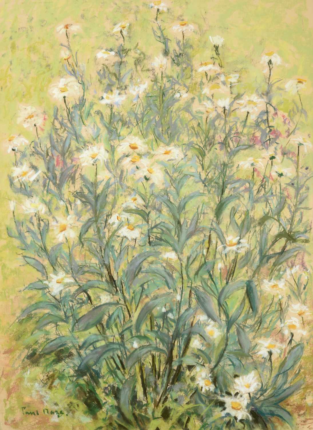 Lot 36 - Paul Maze (1887-1979) French Study of Oxeye