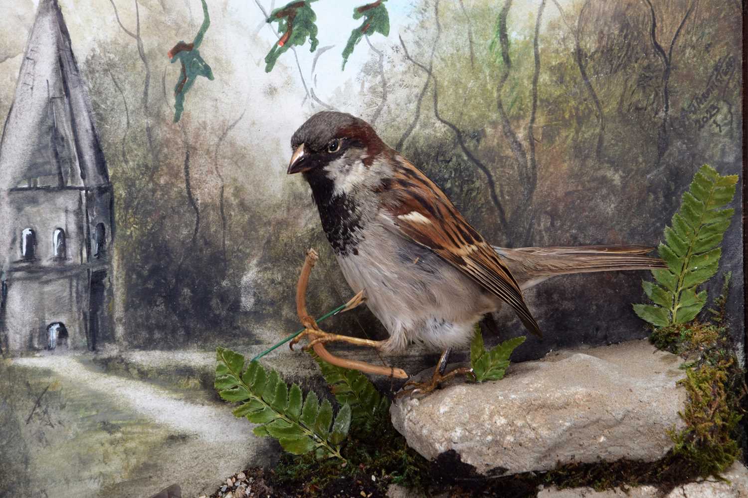 Lot 220 - Taxidermy: Who Killed Cock Robin, dated 2023,