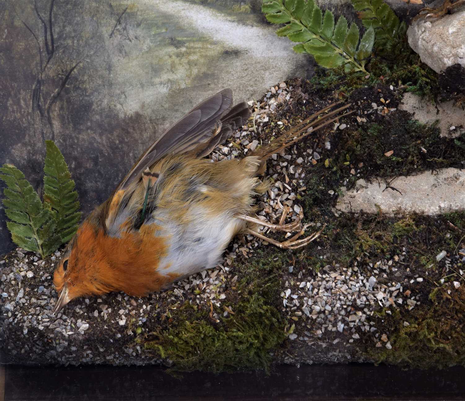 Lot 220 - Taxidermy: Who Killed Cock Robin, dated 2023,