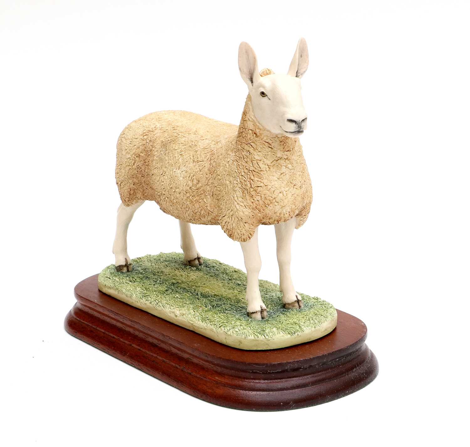 Lot 82 - Border Fine Arts 'North Country Cheviot with