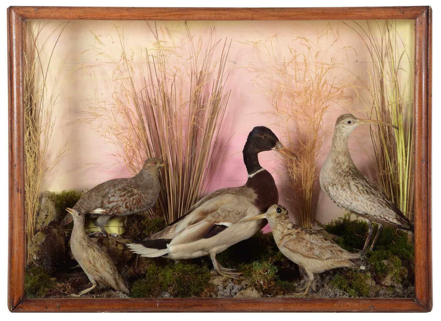 Lot 1239 - Taxidermy: A Late Victorian Display of