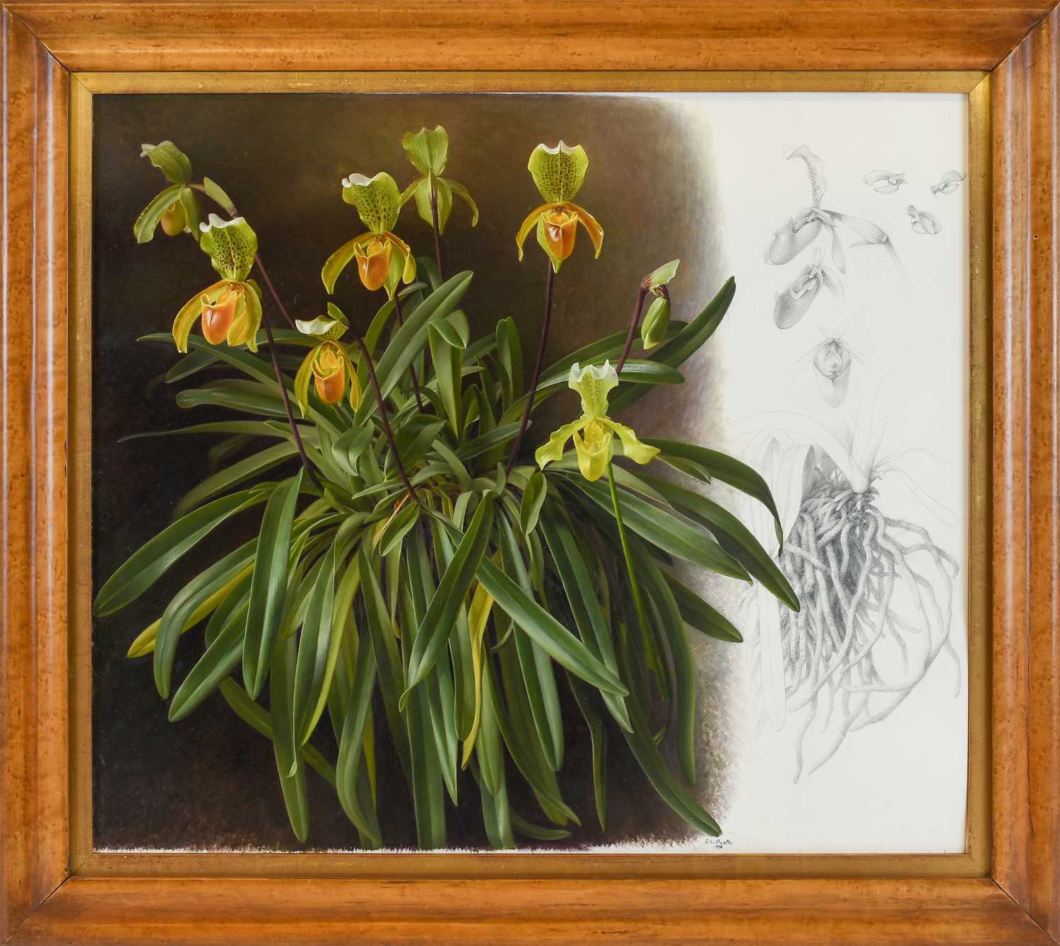 Lot 85 - Raymond Booth (1929-2015) “Orchids and Roots”