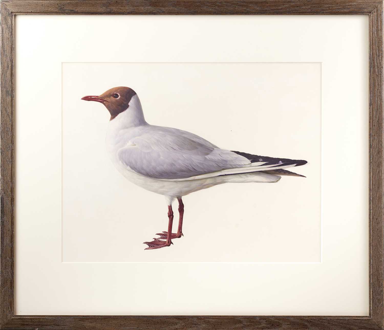 Lot 18 - Raymond Booth (1929-2015) “Study of