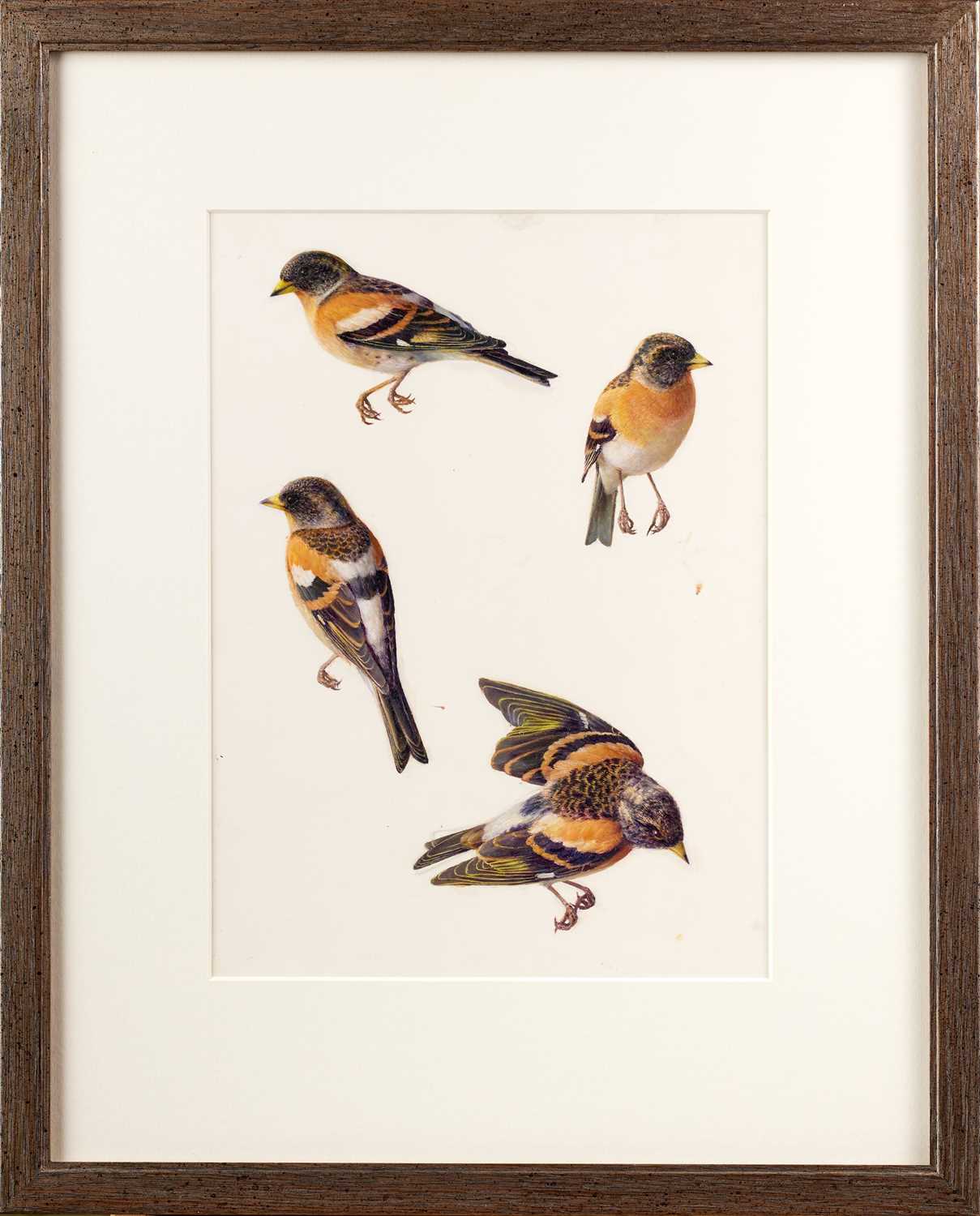 Lot 11 - Raymond Booth (1929-2015) “Four Studies of a