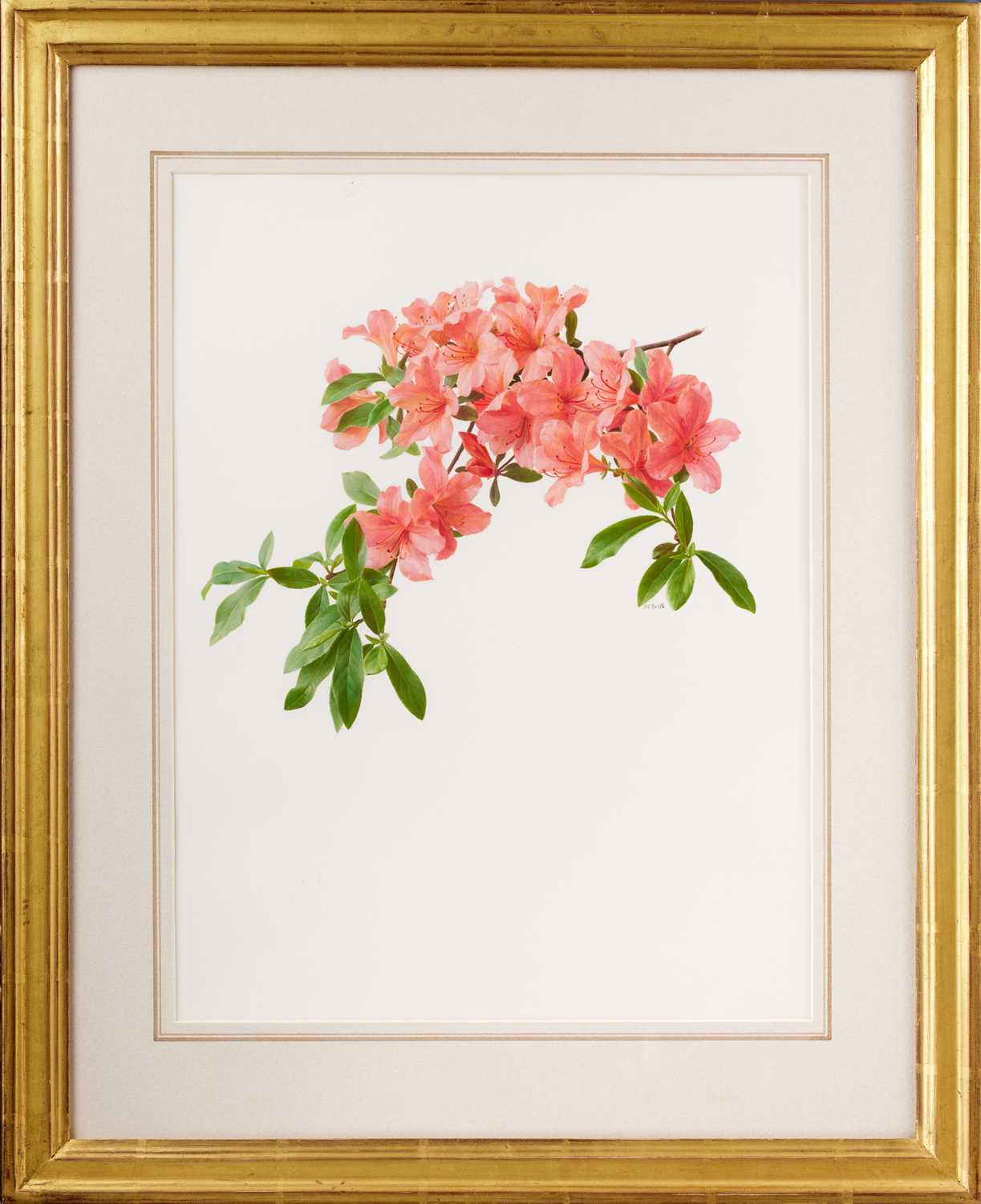 Lot 48 - Raymond Booth (1929-2015) “Rhodendron