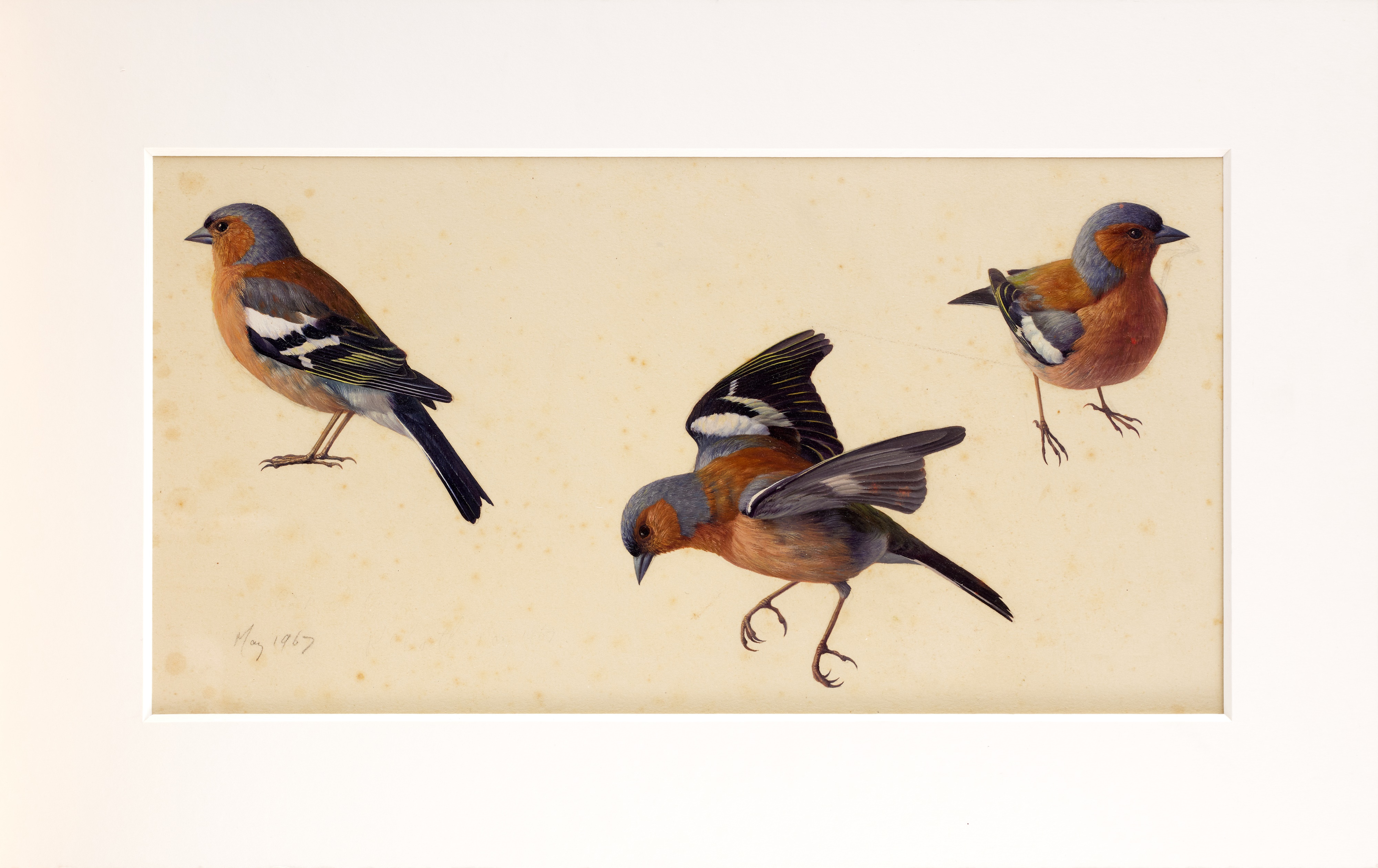 Lot 12 - Raymond Booth (1929-2015) Three studies of a