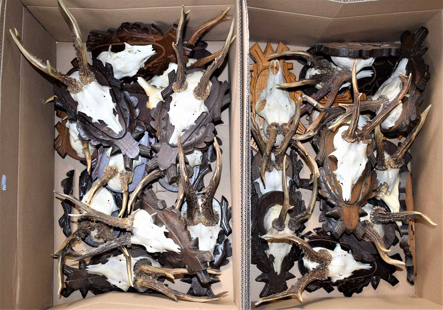 Lot 2078 - Antlers/Horns: A Collection of European