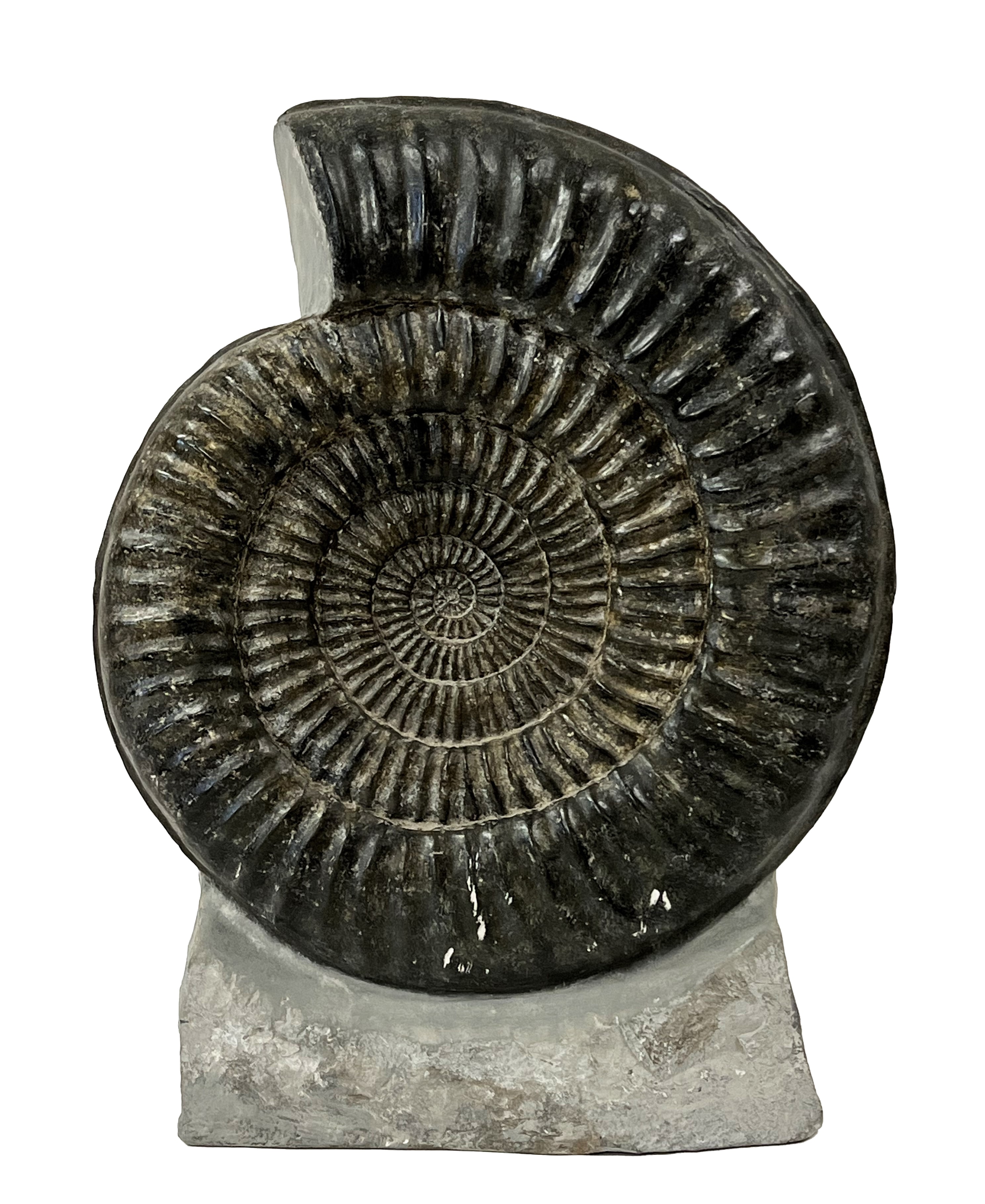 Lot 2204 - Fossils: A Large Ammonite Specimen