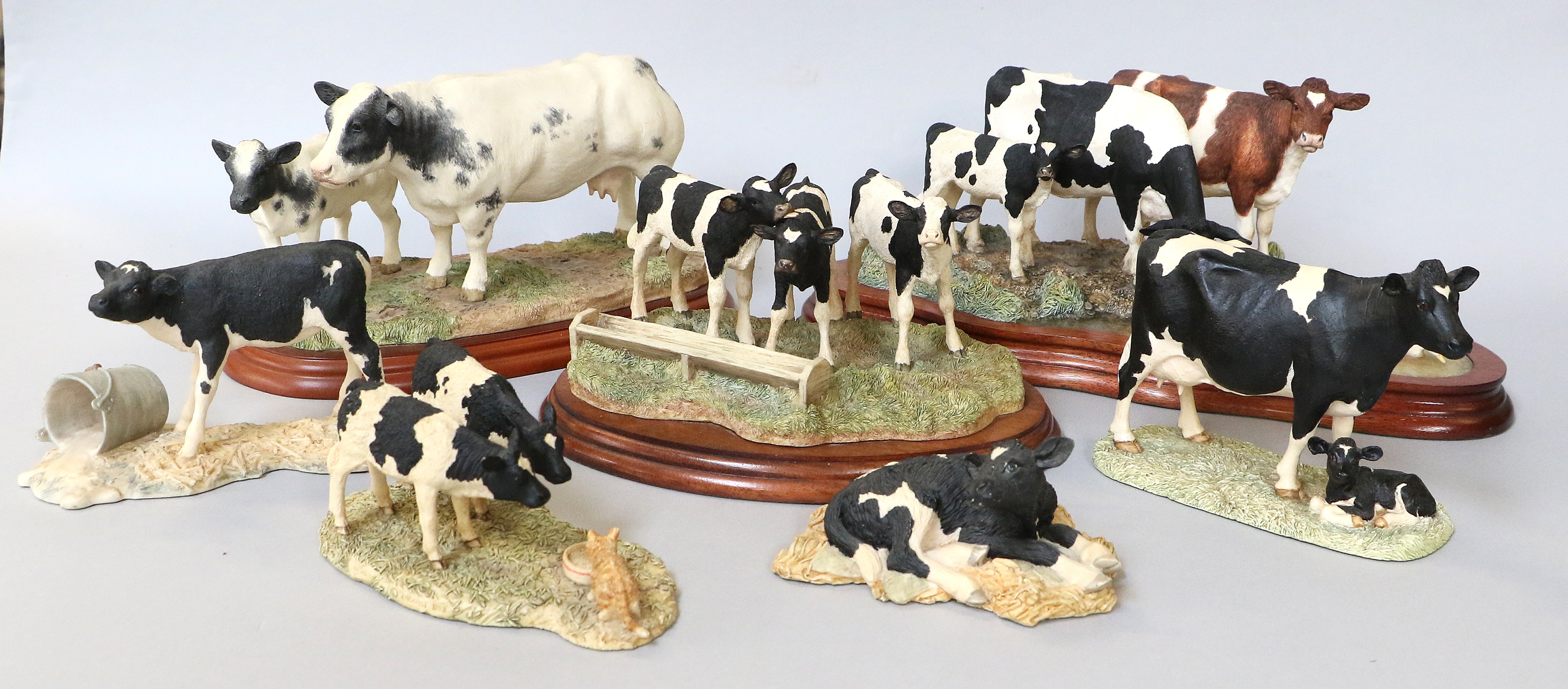 Lot 249 - Border Fine Arts Cattle Models, to include
