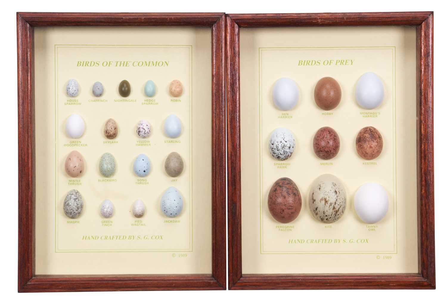 Lot 174 - Natural History: A Pair of Framed