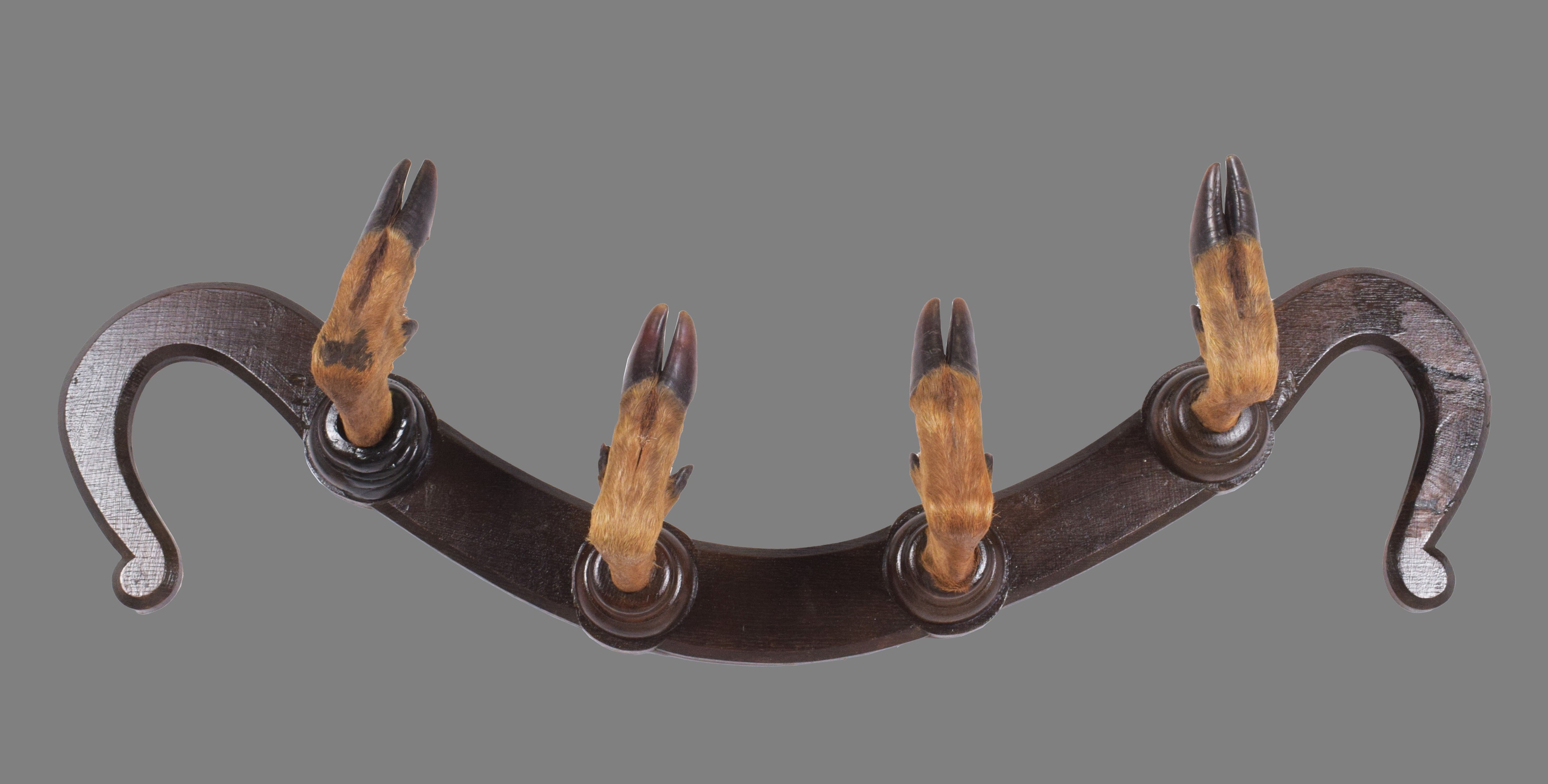 Lot 164 - Animal Furniture: A Deer Slot Mounted Coat