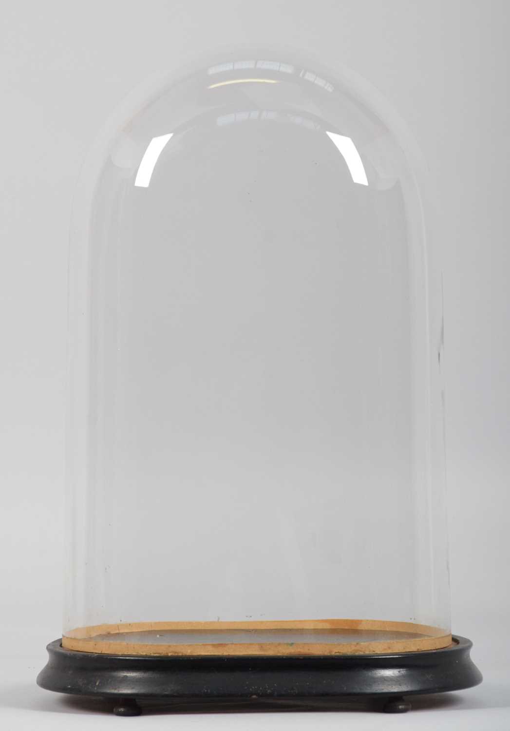 Lot 171 - Glass Dome: A Period Glass Dome, of oval
