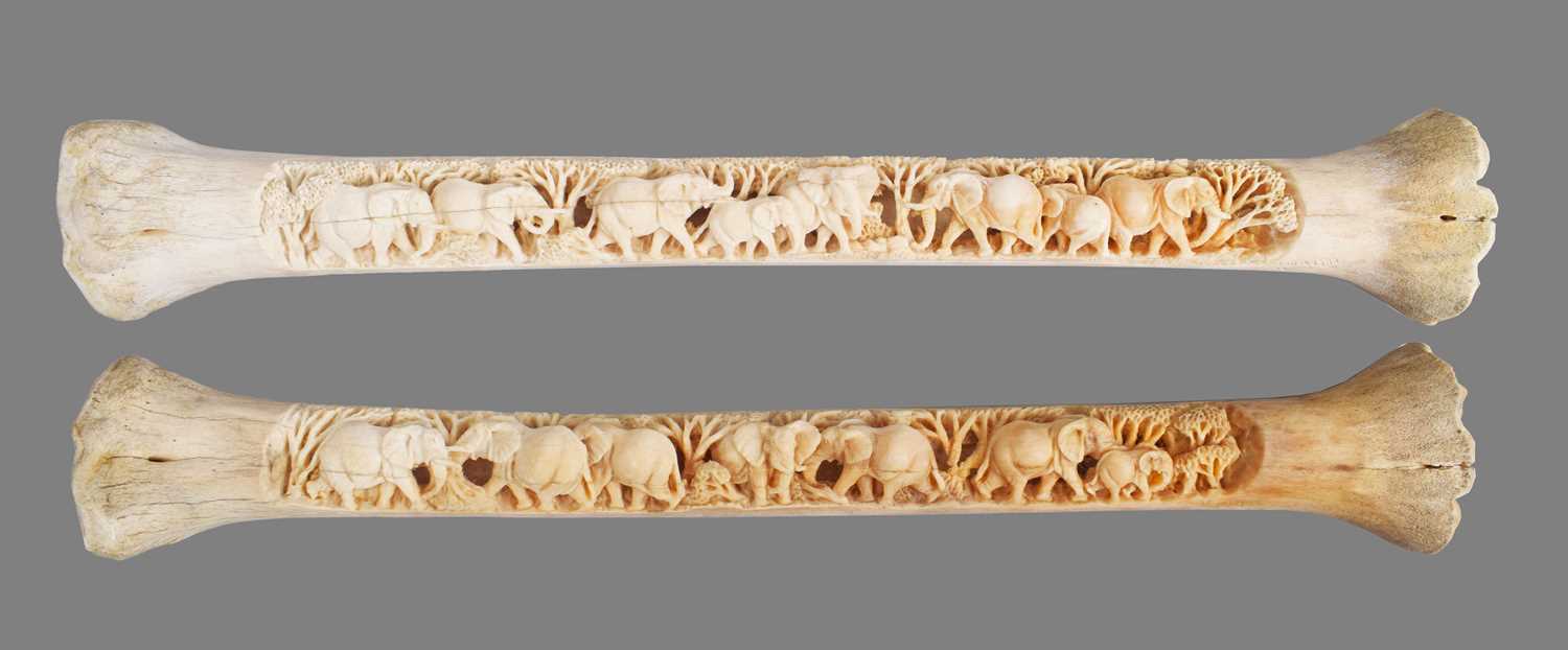 Bones/Anatomy: A Pair of Carved Southern Giraffe Leg