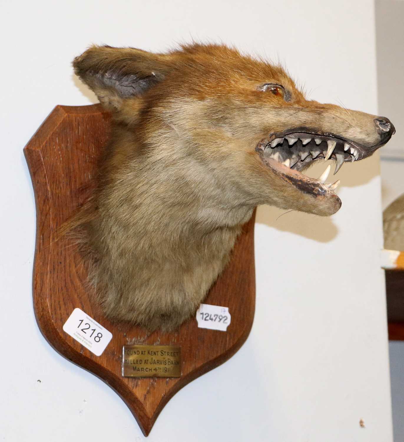 Lot 1218 - Taxidermy: Red Fox Mask (Vulpes vulpes),