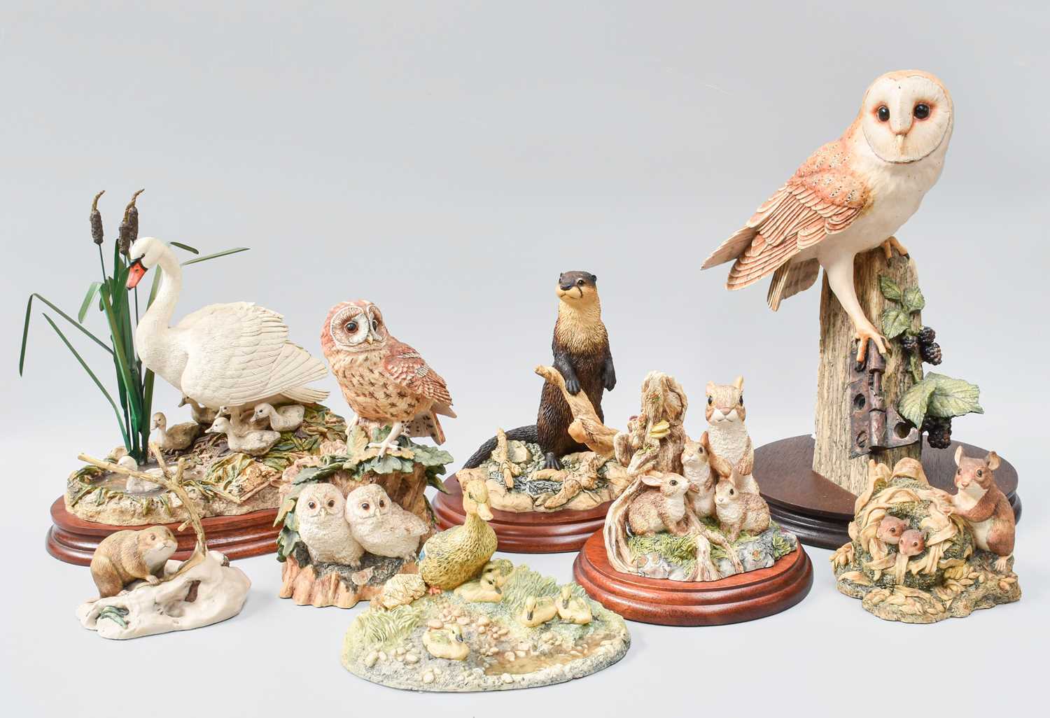 Lot 223 - Border Fine Arts Wildlife Models, including: