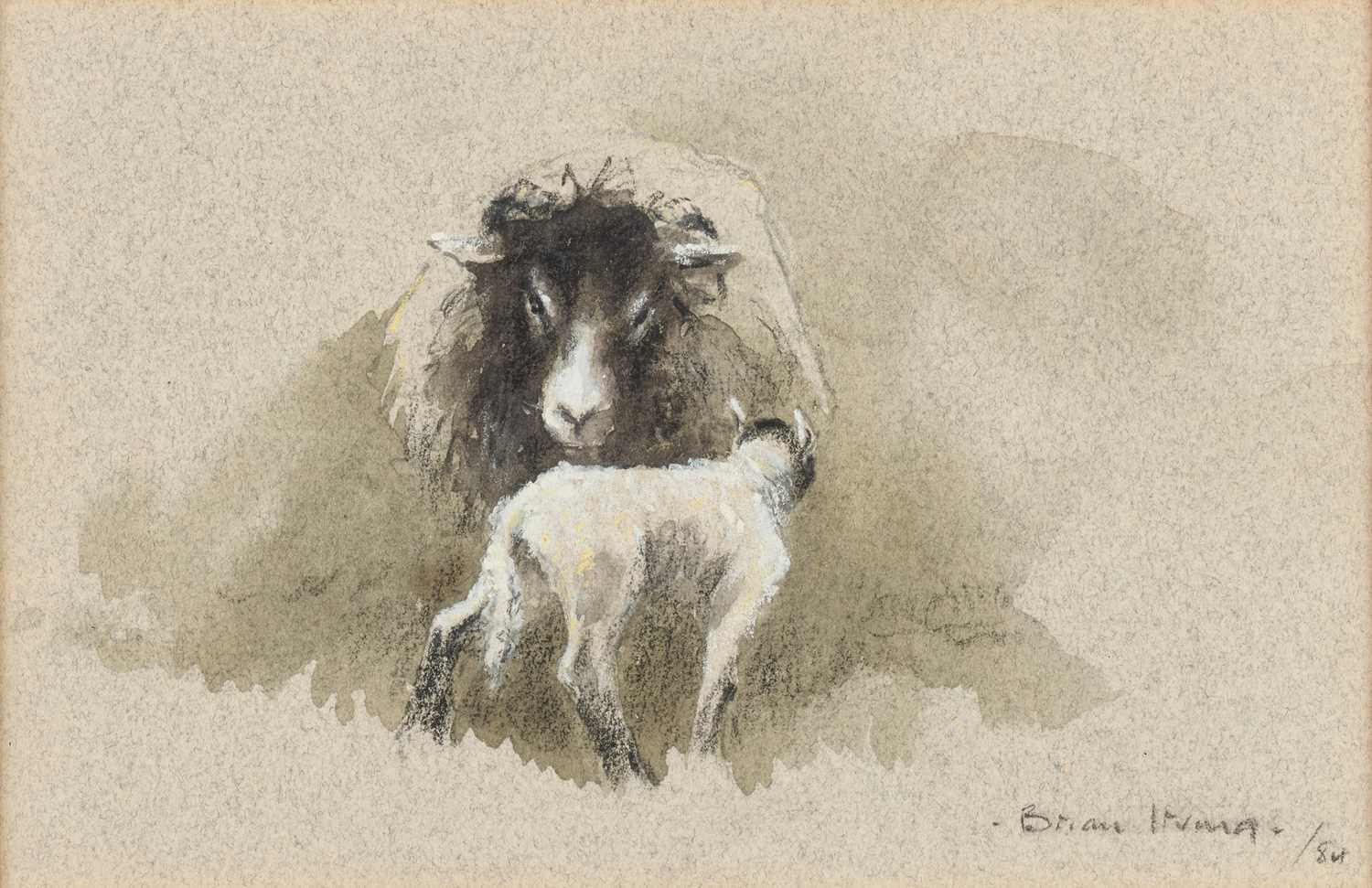 Lot 189 - Brian Irving (1931-2013) "Swaledale Sheep
