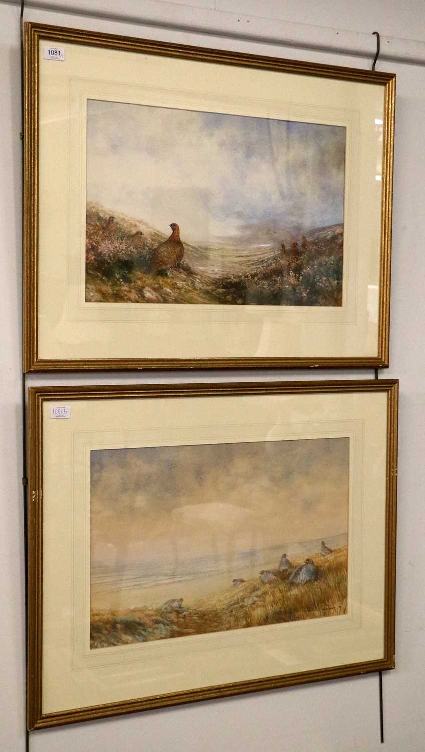 Lot 1081 - Ian R Oates (20th Century) A covey of