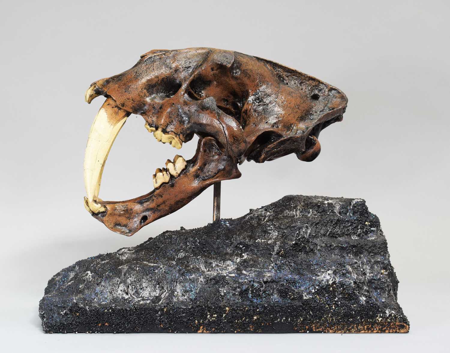 Lot 66 - Natural History: A Replica Smilodon Skull