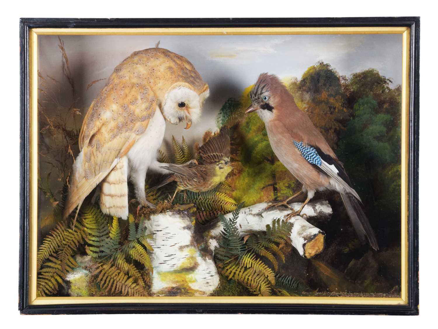 Lot 110 - Taxidermy: A Late Victorian Case of Birds,